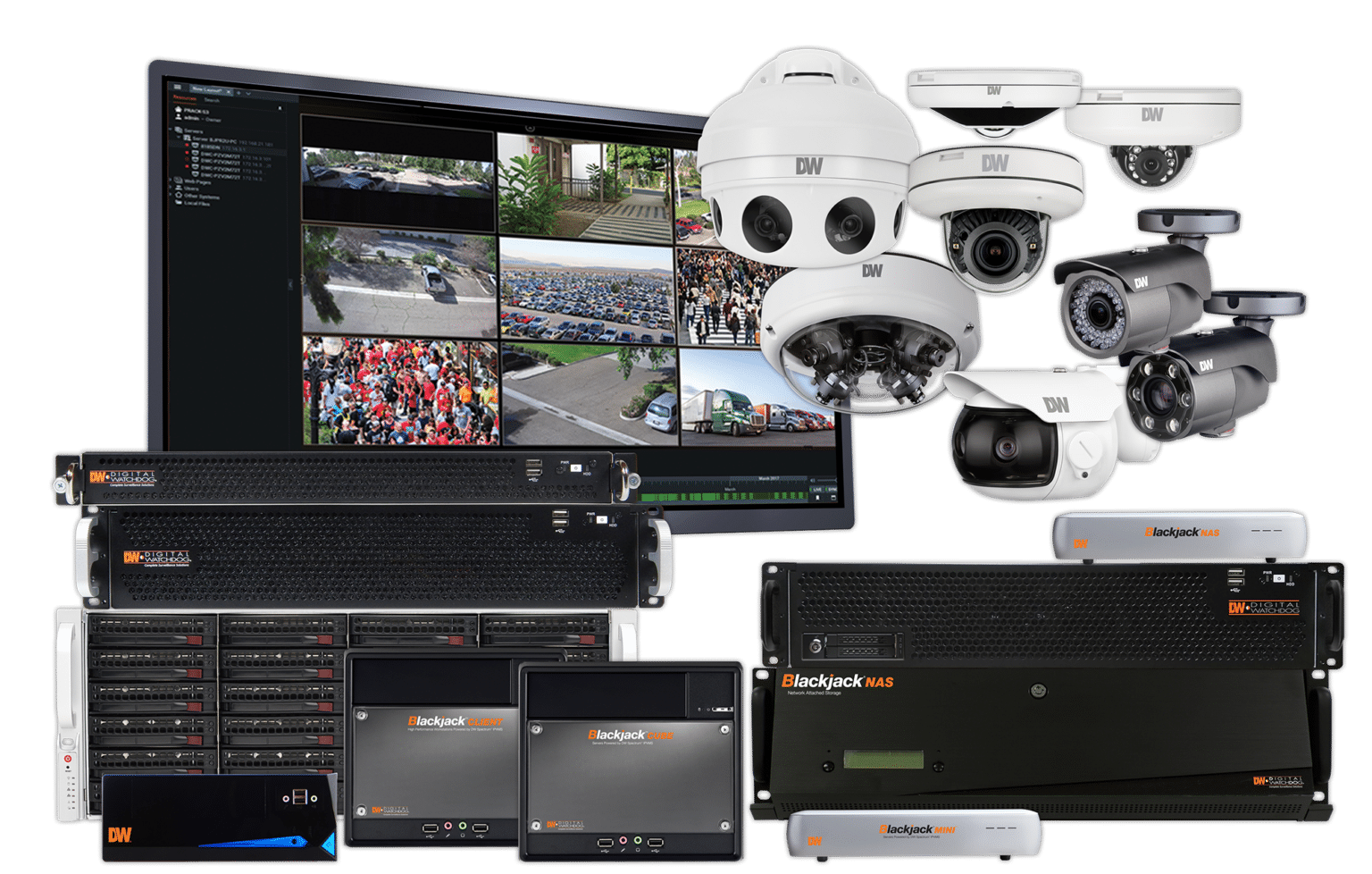 Digital Watchdog - CCS